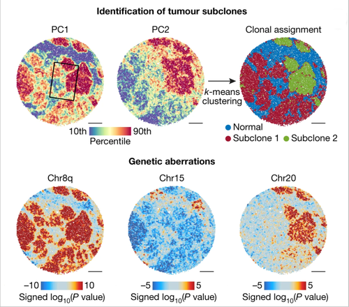 Spatial Biology — The Chen Lab
