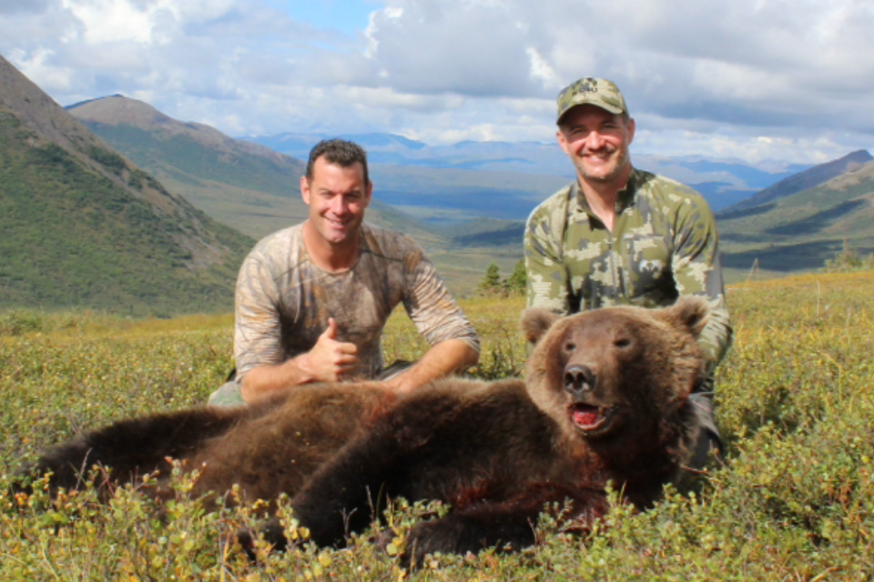 Track of the Grizzly