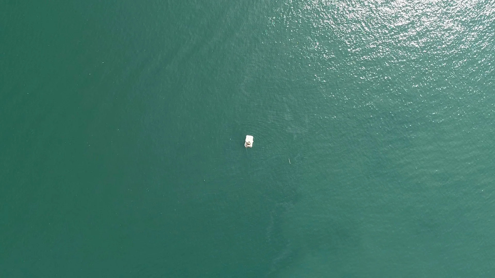 Wonderland intersection 2019 — Long Pan