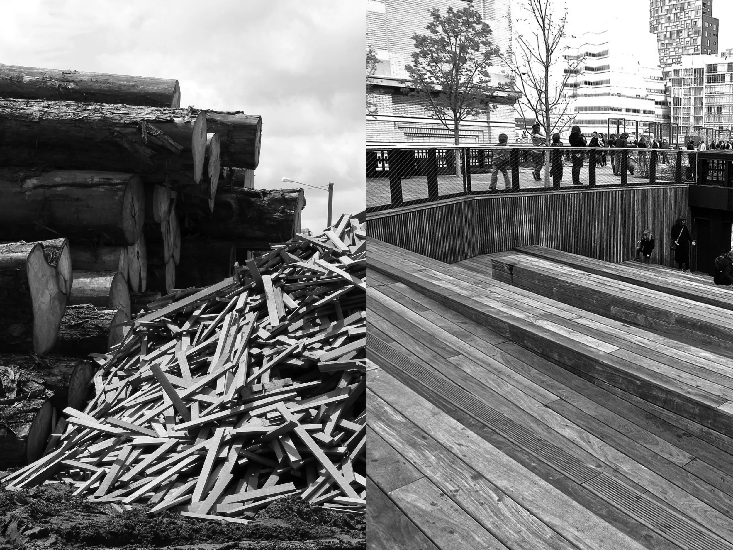 Jane Hutton — Living Cities Forum