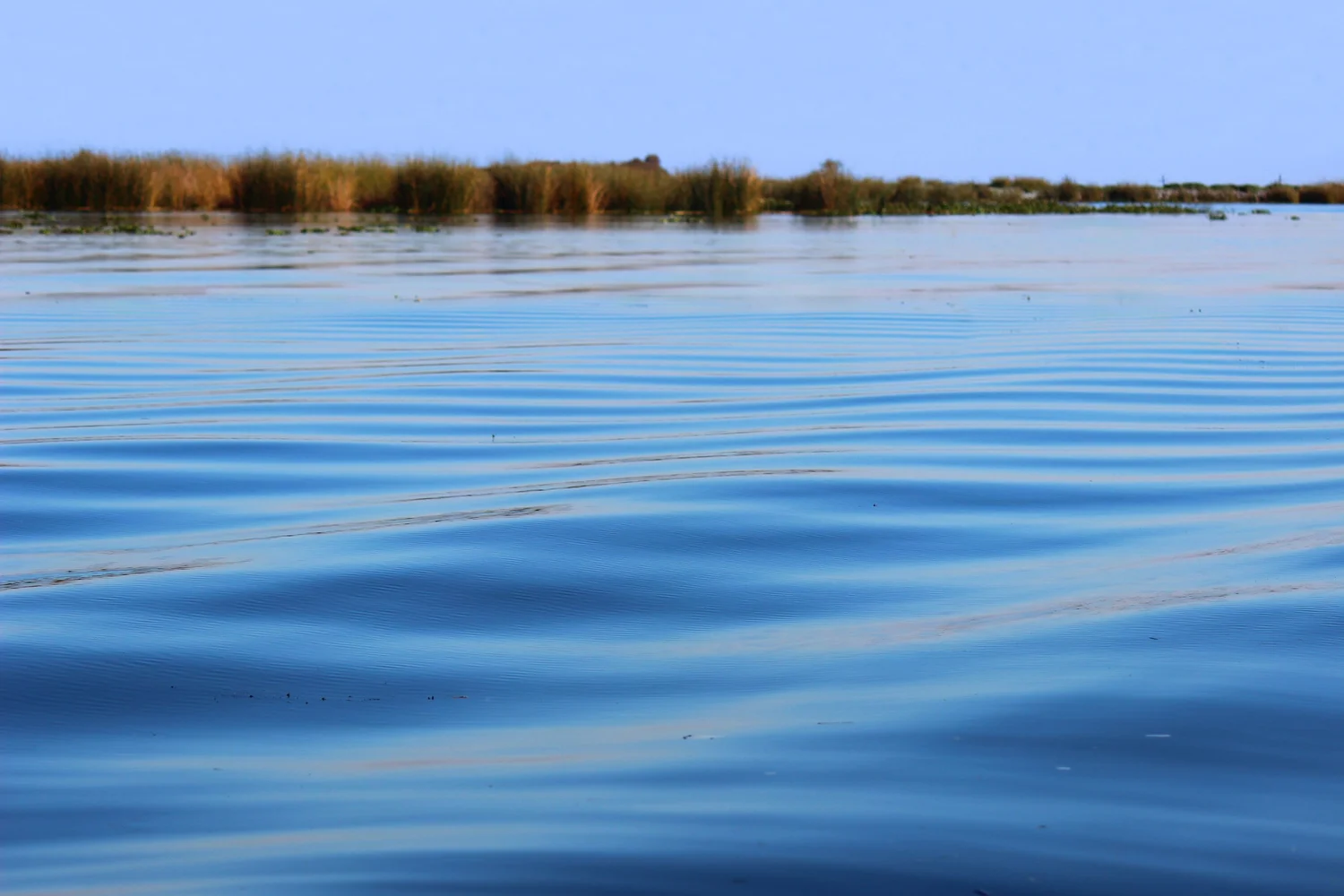 California Delta Fishing — Korth's Pirates Lair Marina