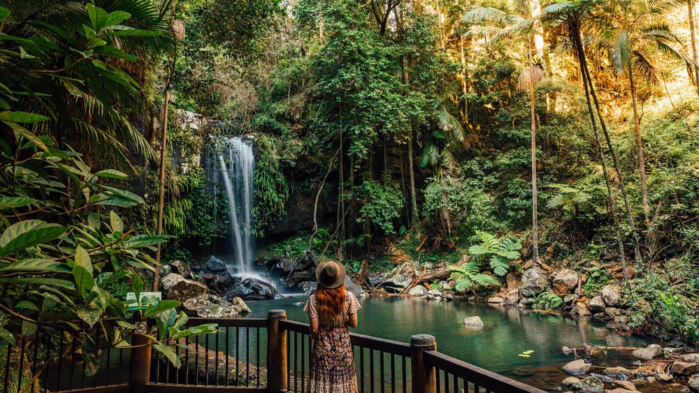The Tamborine | Boutique Accommodation Tamborine Mountain