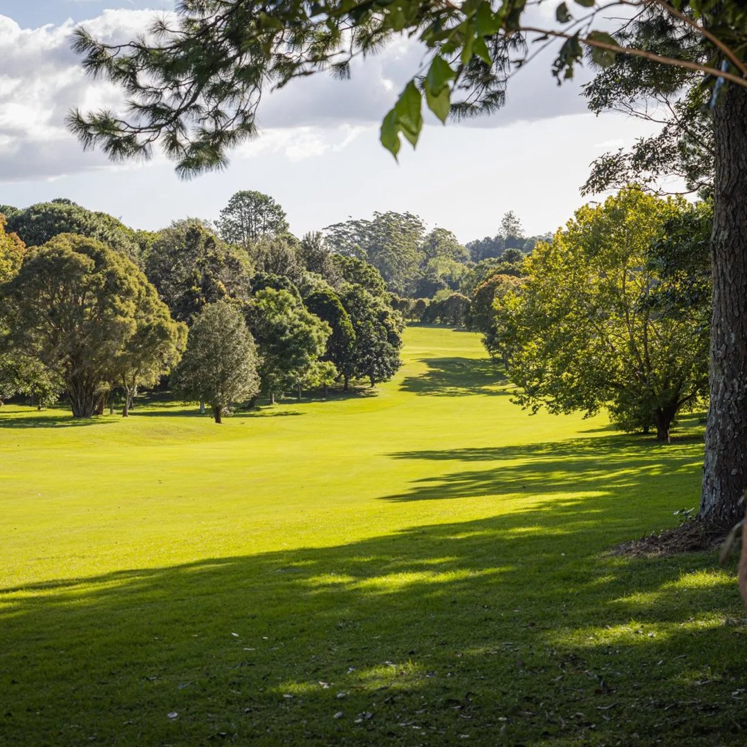 Things to Do | The Tamborine | Boutique Accommodation Tamborine ...