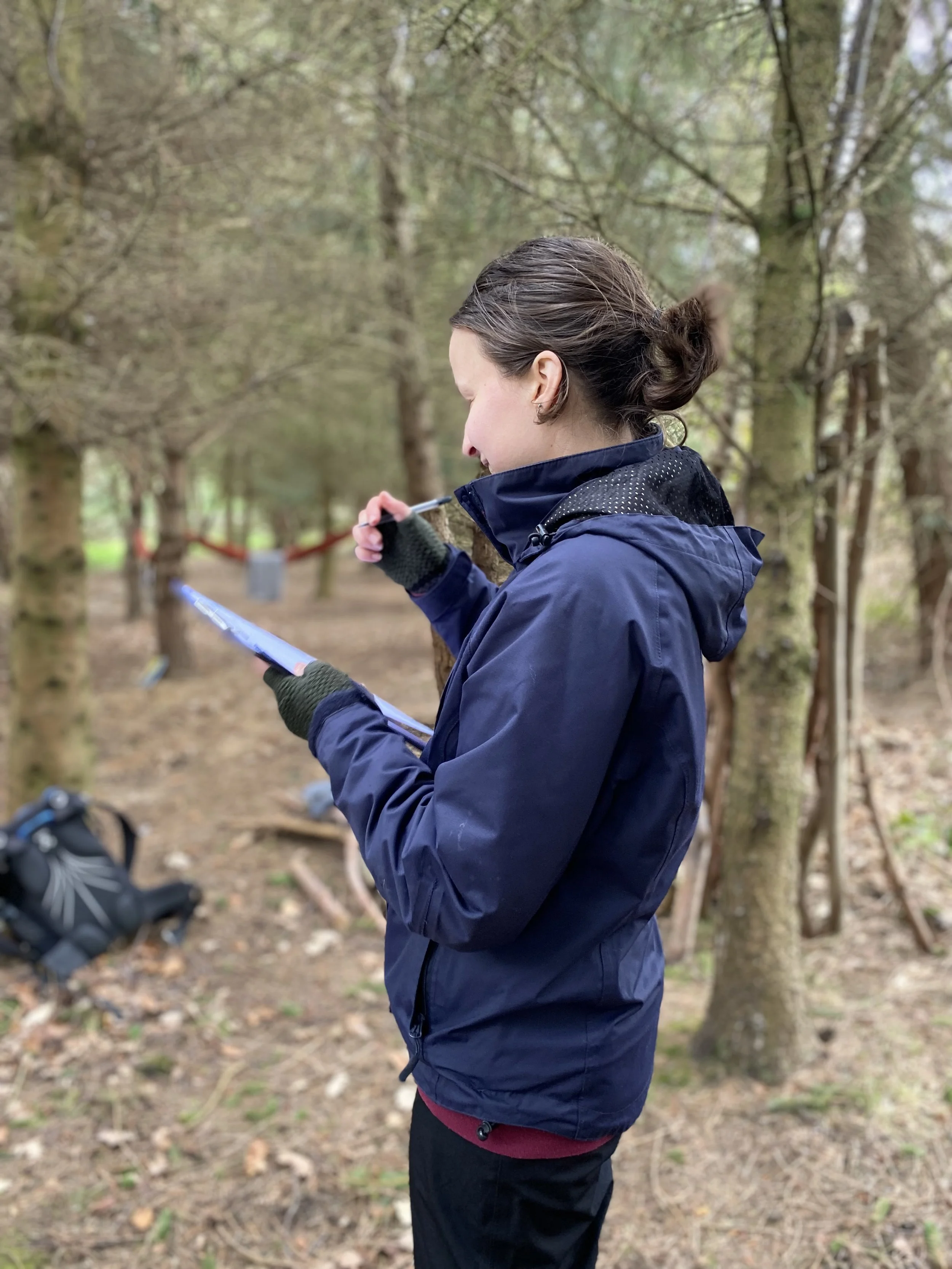 Level 3 Forest School Leader — Nature Box Training