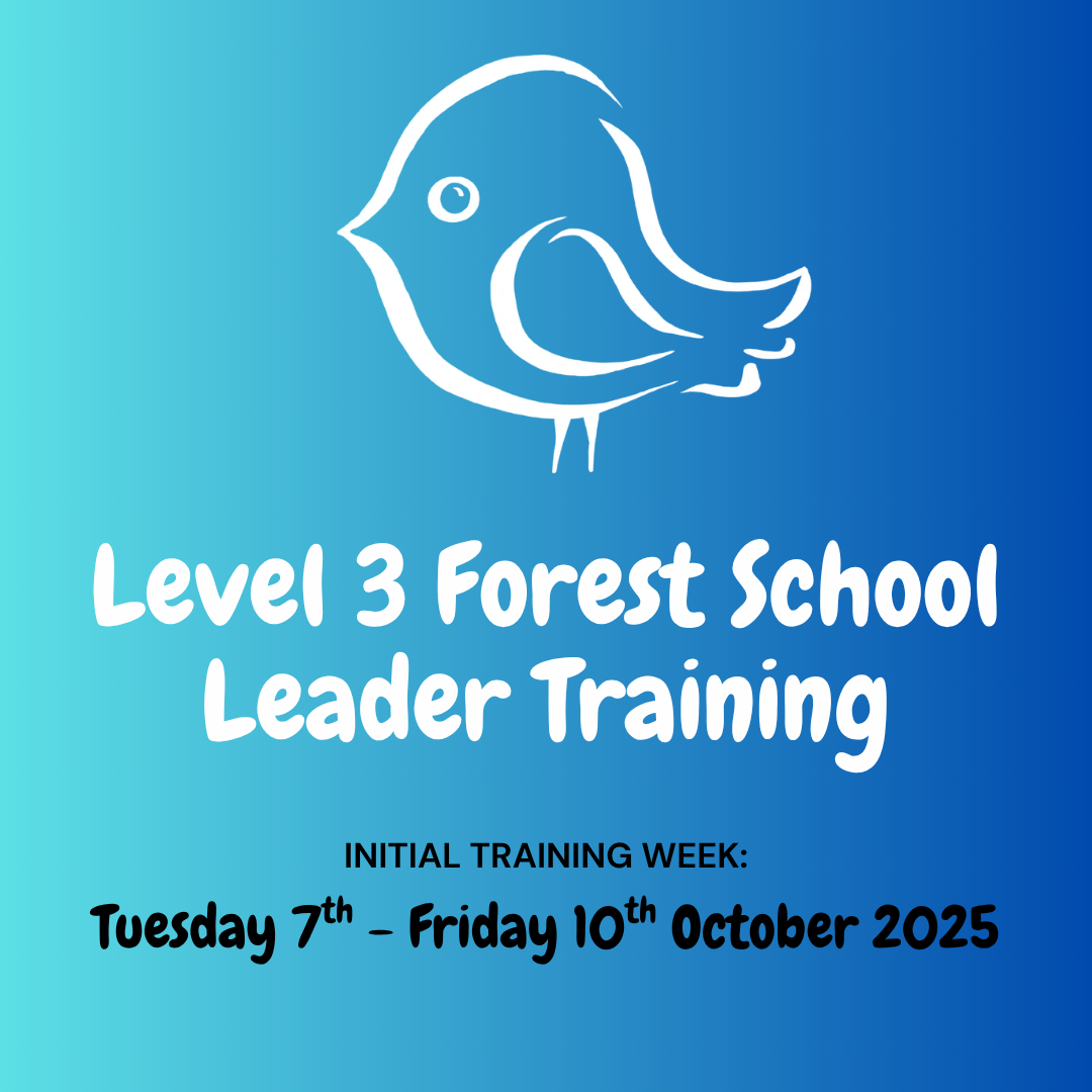 Level 3 Forest School Leader — Nature Box Training
