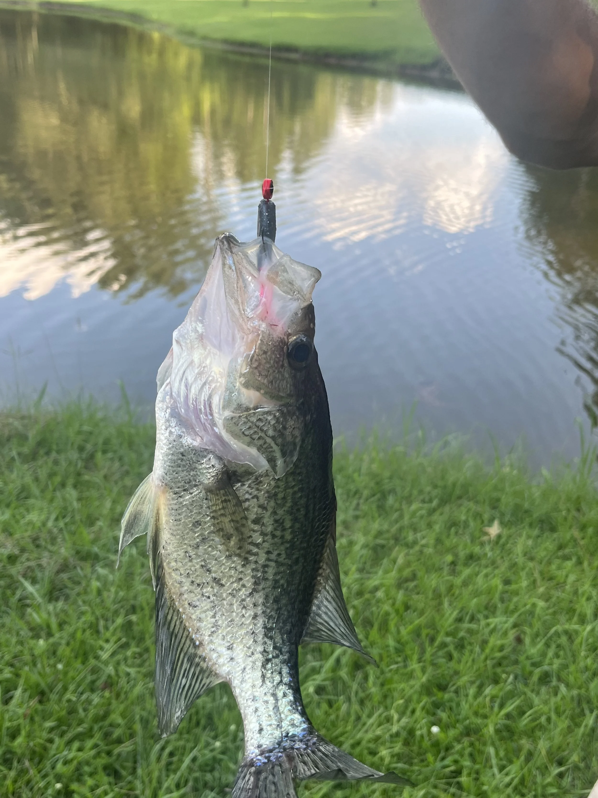 About — Slab Lab Fishing