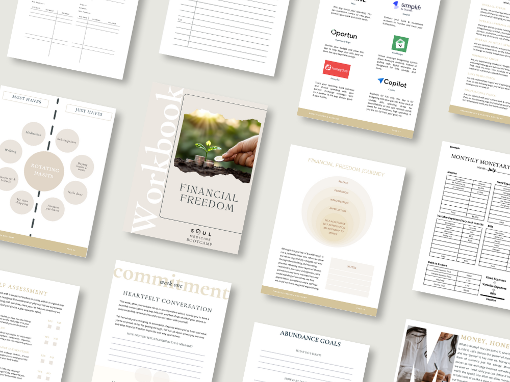 Financial Bootcamp Soul Medicine