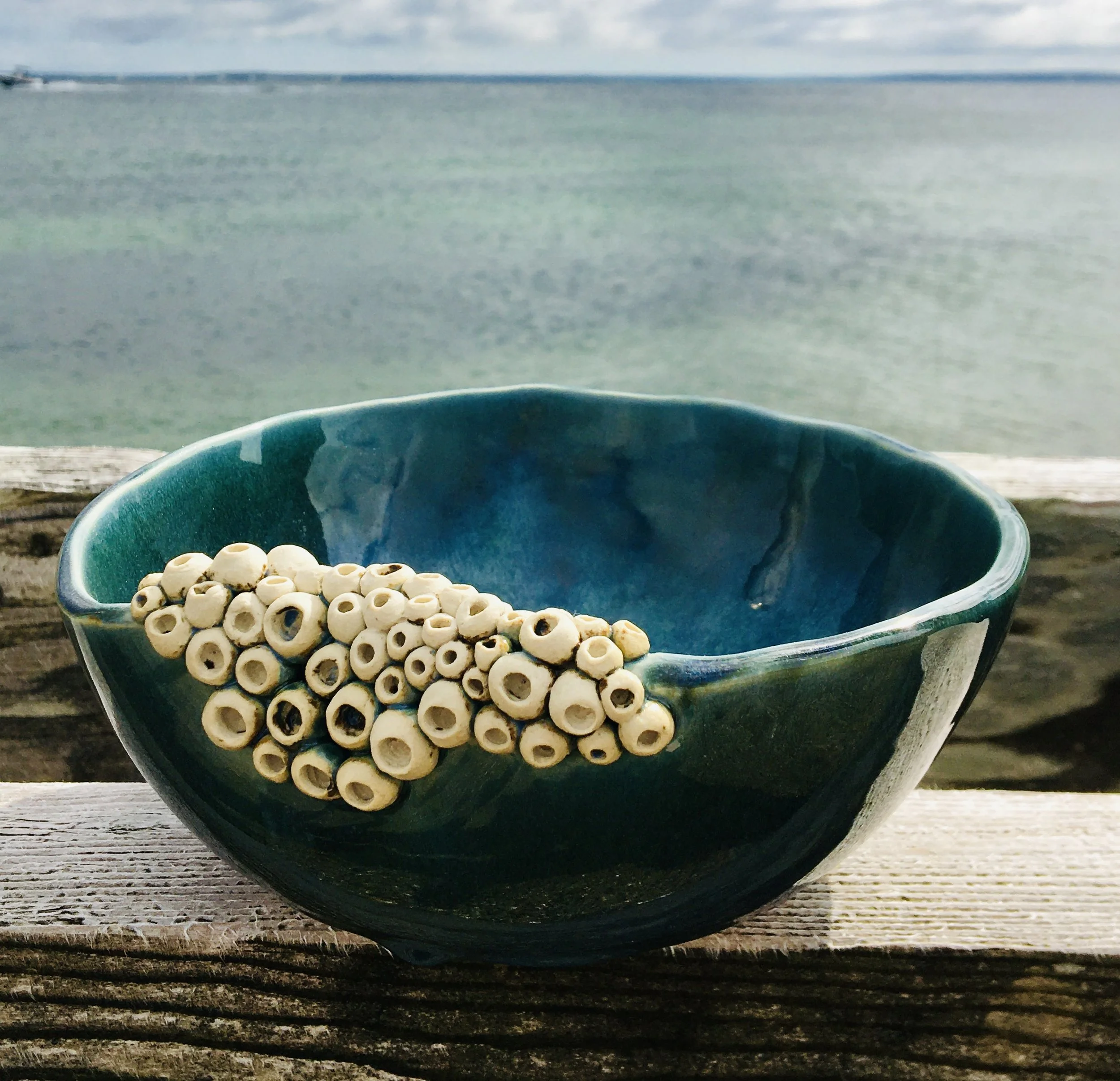 Capecardamom - Kimberly DeWall — Cape Cod Potters Inc