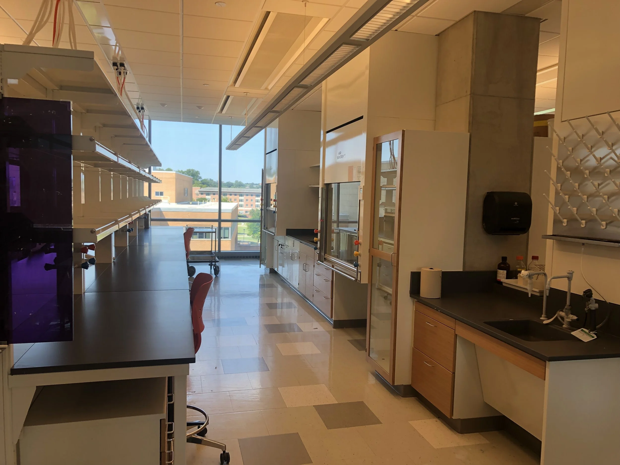 Publications — The Walker Lab at UMBC