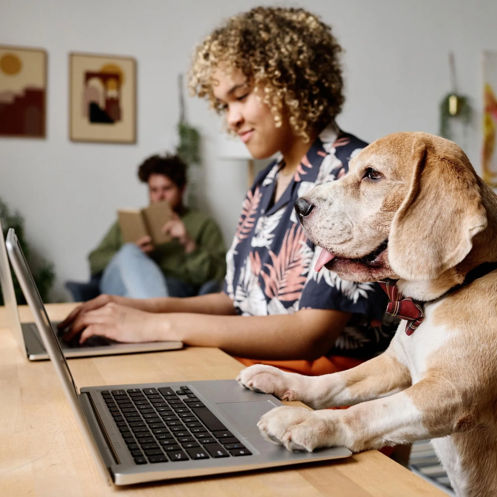 Pet Industry Network - The Best Place to Find Pet Industry Experts