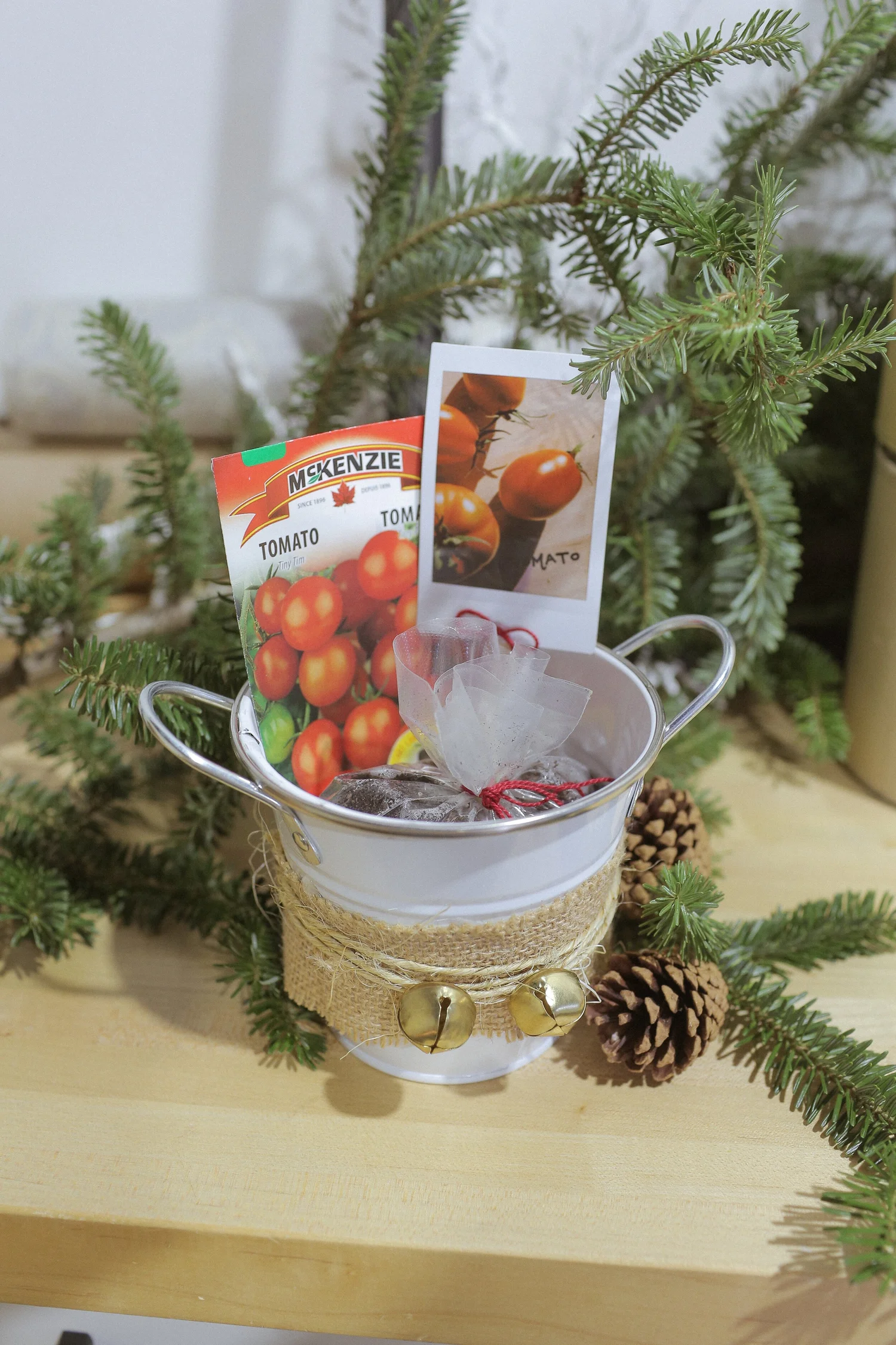 Easy DIY Gifts You Can Send in The Mail! — The Sorry Girls