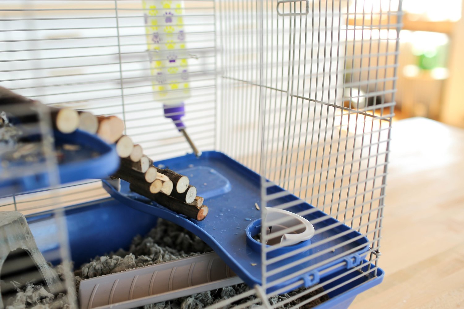 DIY Hamster Cage — The Sorry Girls