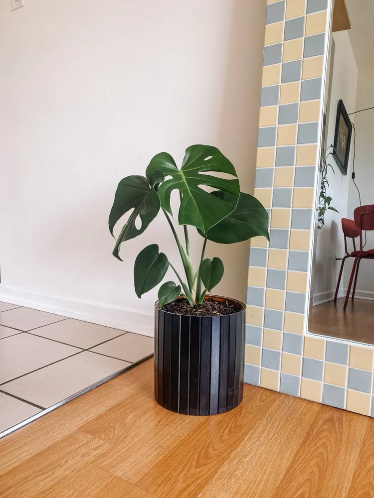 Upcycled Planter Hack DIY — The Sorry Girls