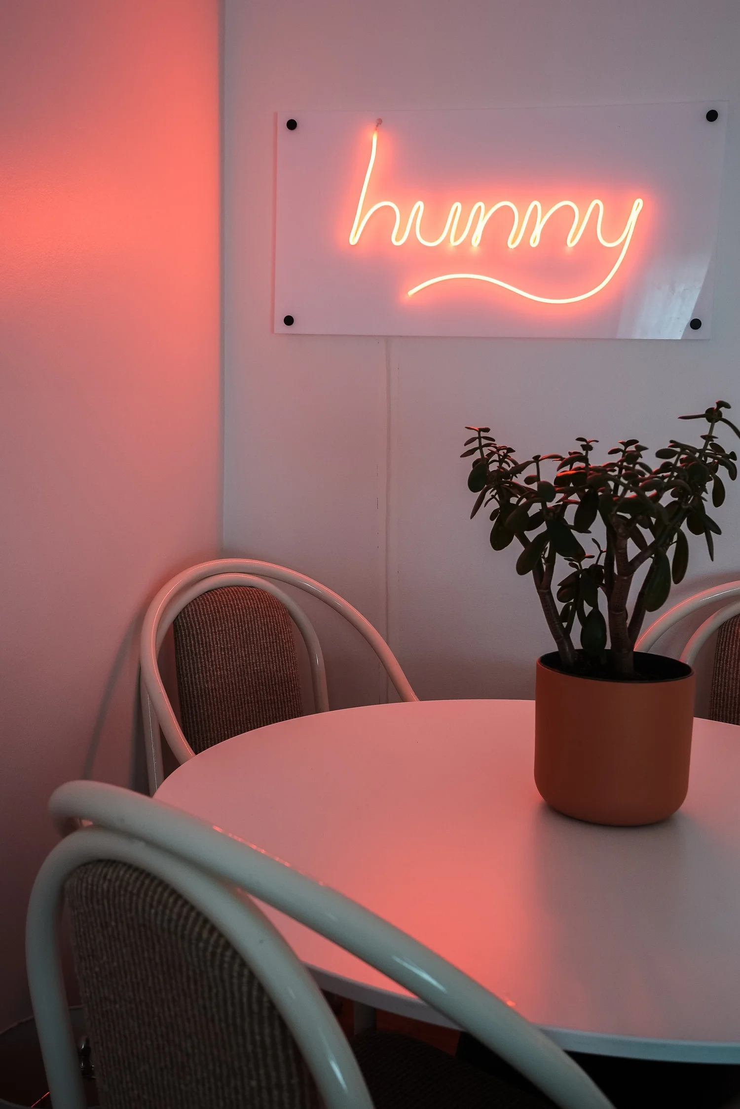 DIY Neon Sign — The Sorry Girls