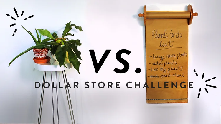 DOLLAR STORE CHALLENGE (LOFT EDITION) — The Sorry Girls