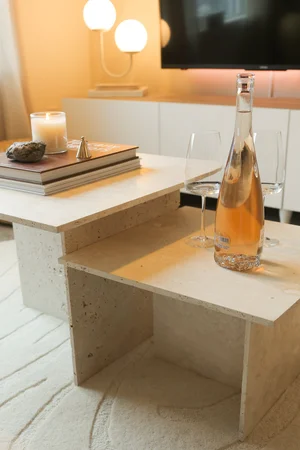 Organic modern apartment Makeover — The Sorry Girls