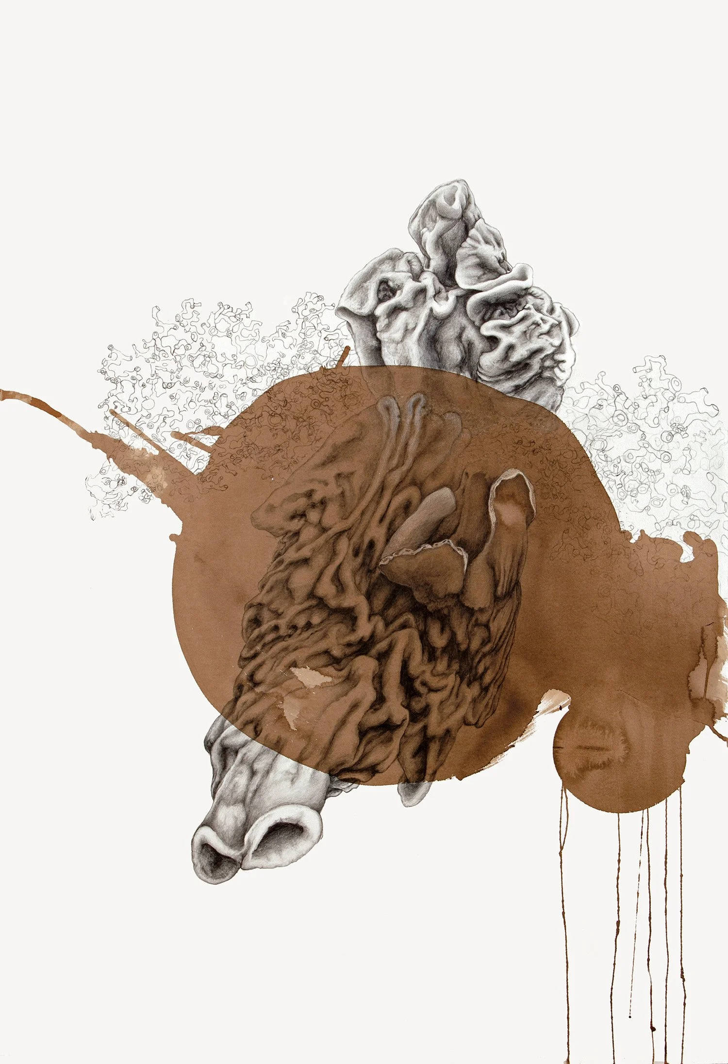 Anomaly drawings — Laura Stack Art