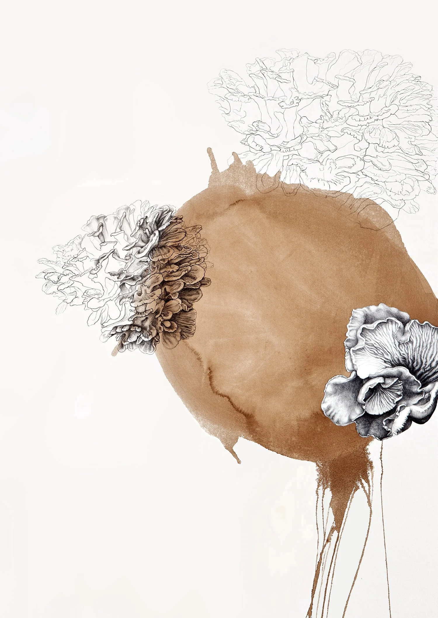 Anomaly drawings — Laura Stack Art NEW Anomaly drawings — Laura Stack Art NEW
