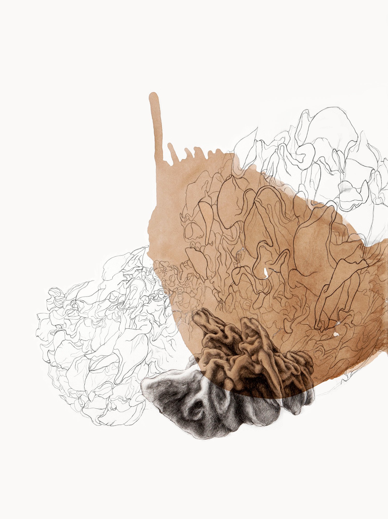 Anomaly drawings — Laura Stack Art