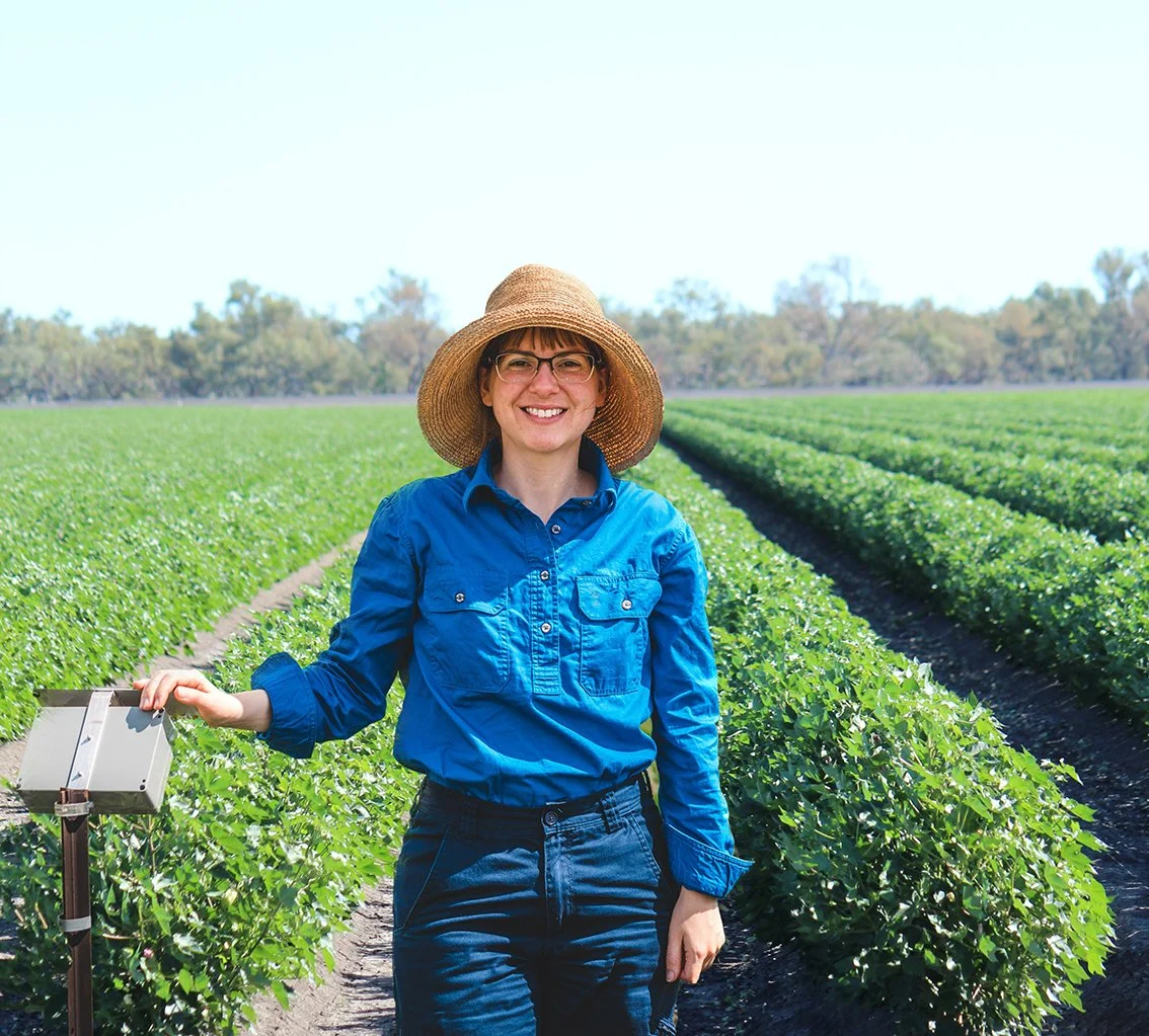 Ground-breaking algorithm redefines early-season canopy temperature ...