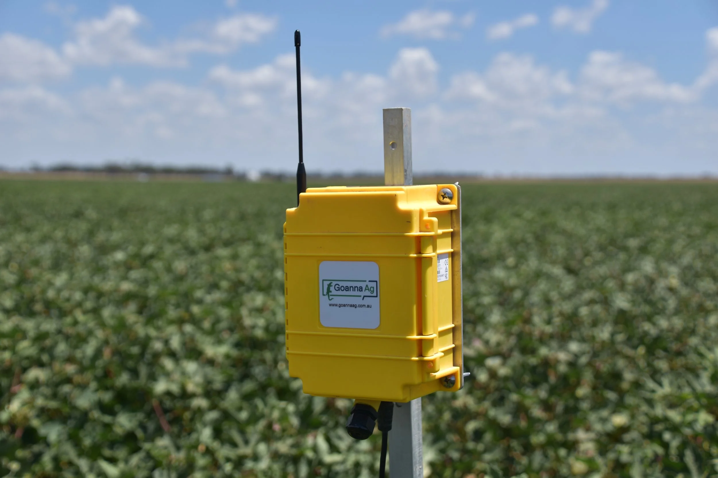 Read the latest developments and insights from Goanna Ag and their ...