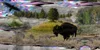 Nancy & David Bechtol — ARC Gallery