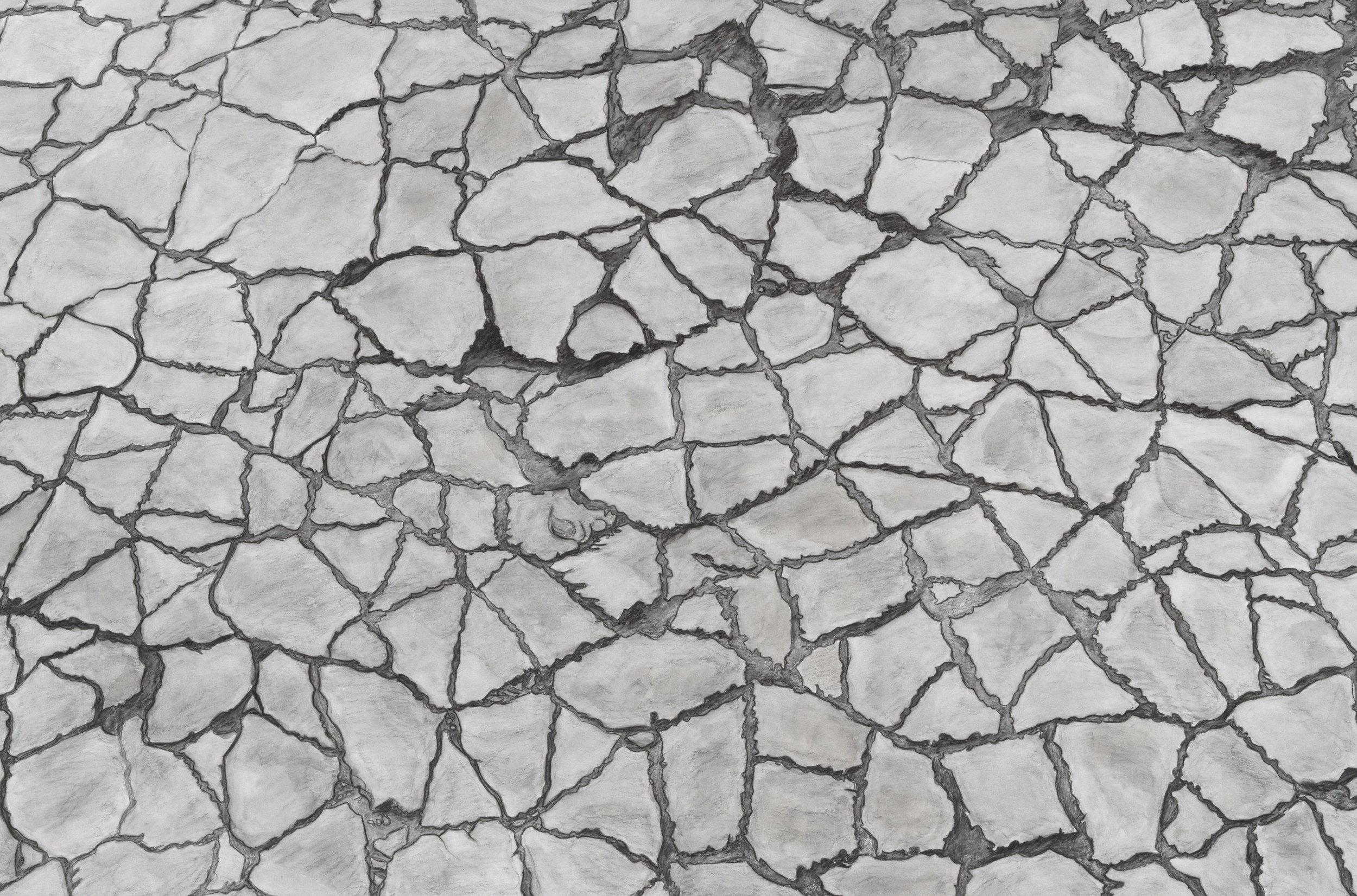 Cait Hardie — ARC Gallery