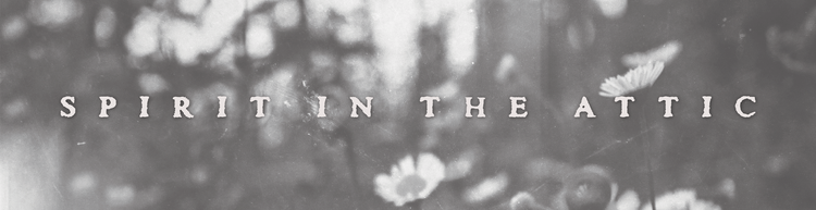 Shop — Spirit in the Attic