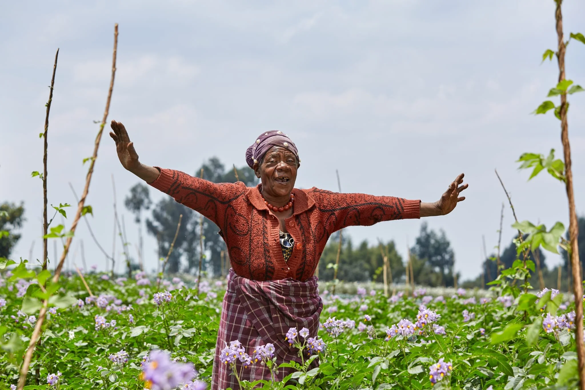 ABOUT — VIRUNGA MOUNTAIN SPIRITS
