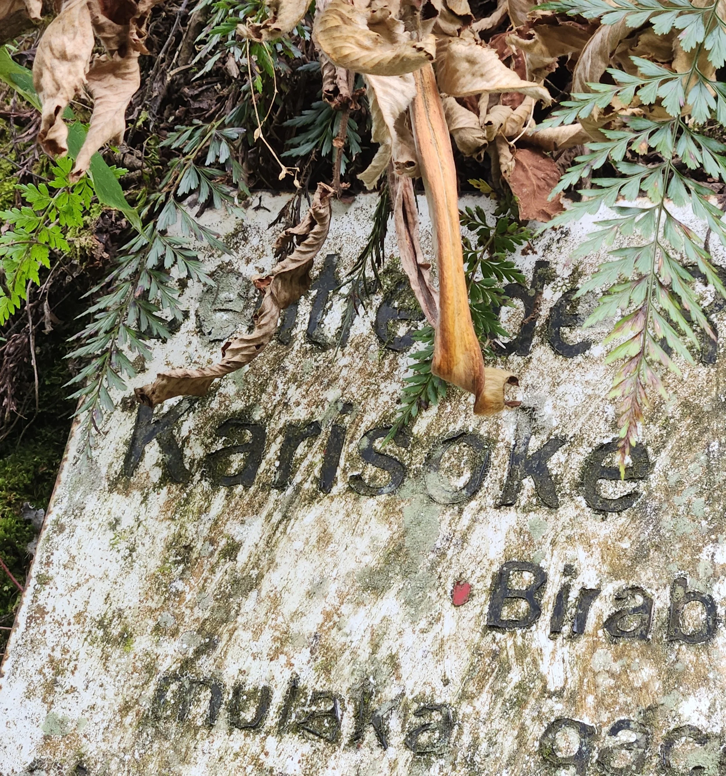 VIRUNGA MOUNTAIN SPIRITS