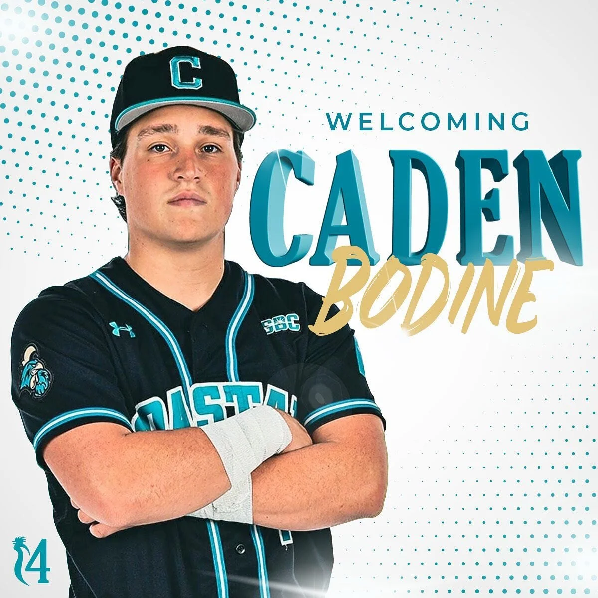 Legacy 14 Baseball Collective