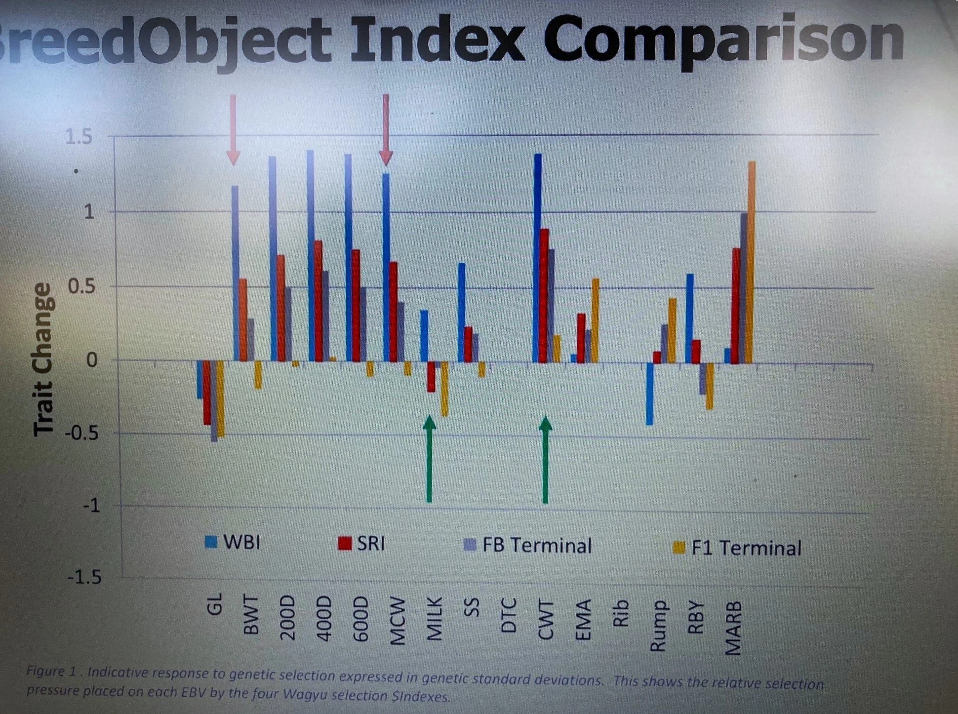 Comments About Wagyu — Lisheen Wagyu