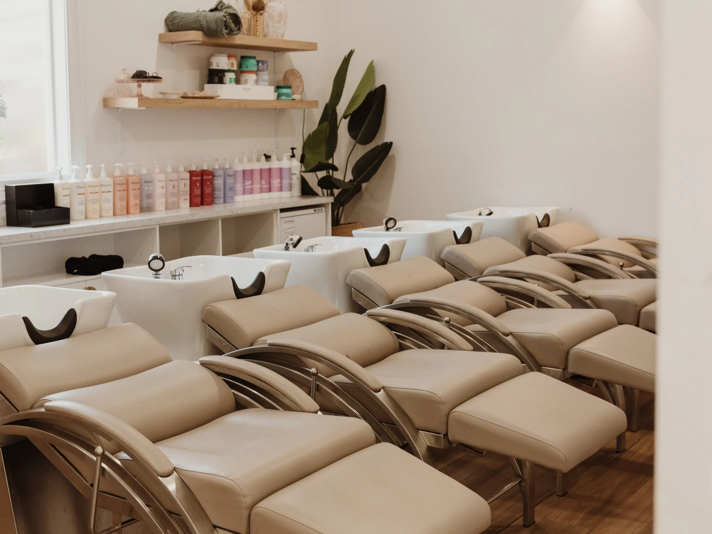 Cairns Hairdressers - Berry Lane Hair