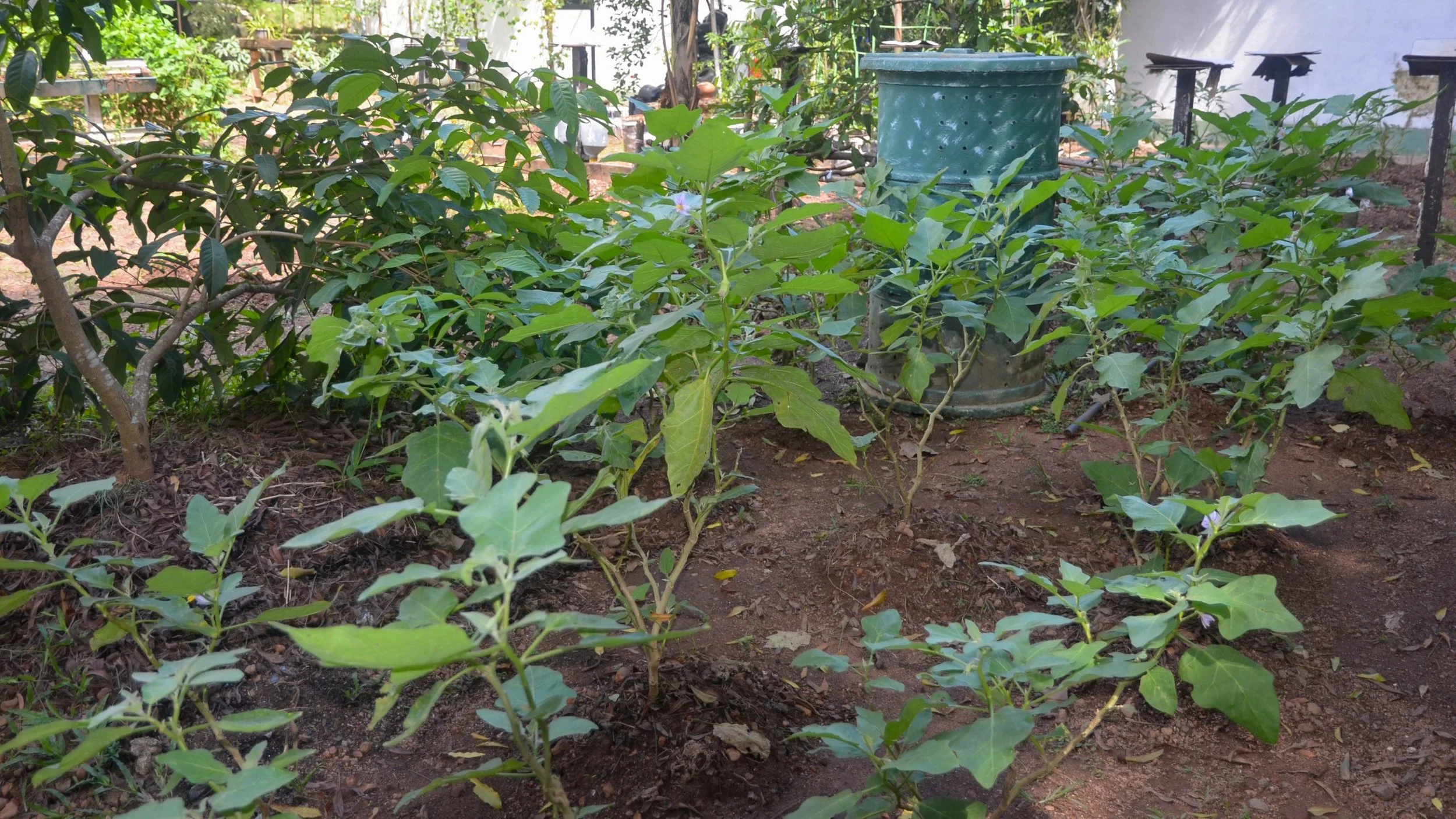 About us — Modern printing design