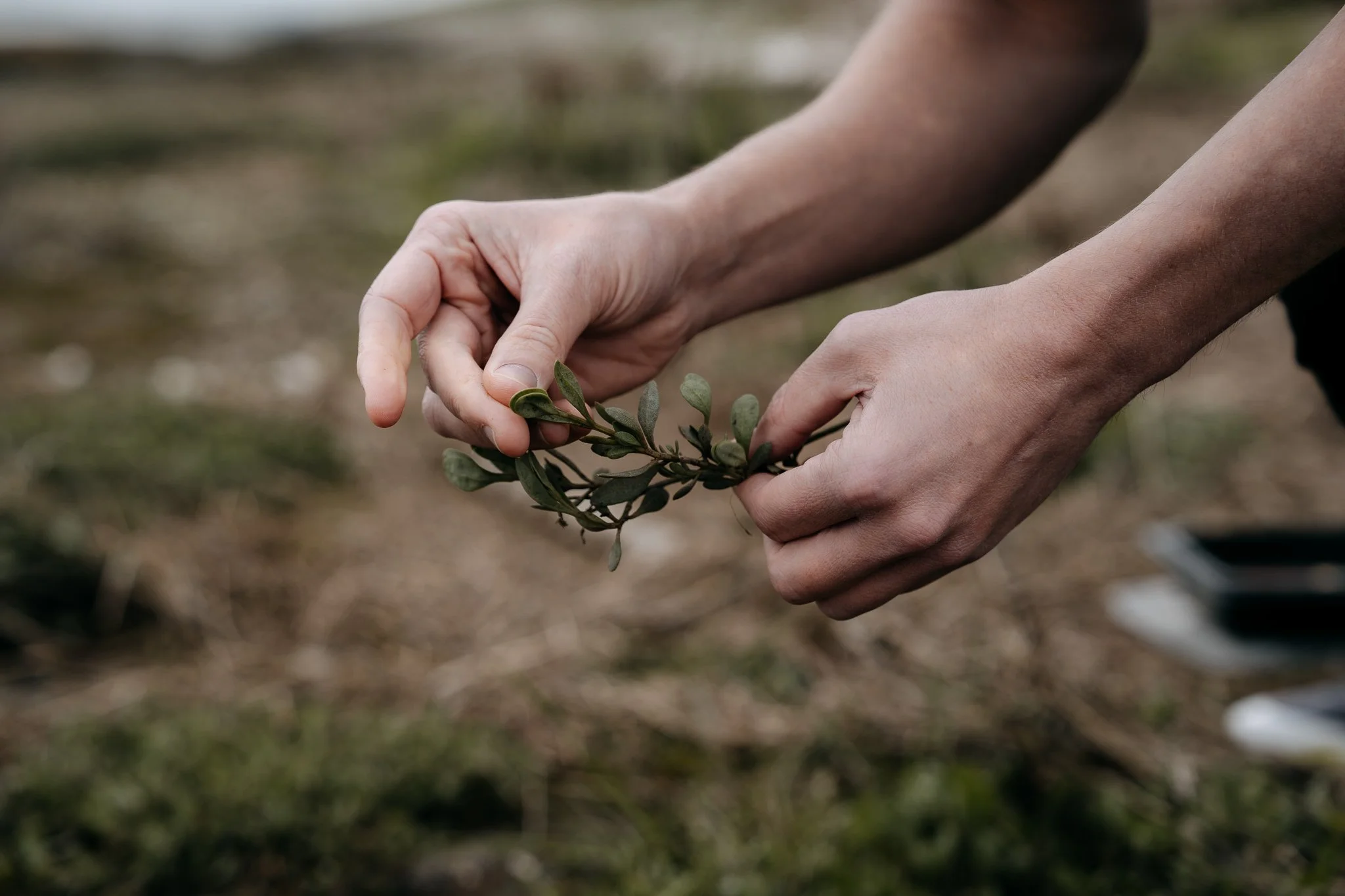 Inter Scaldes Restaurant Kruiningen | Officiële Website