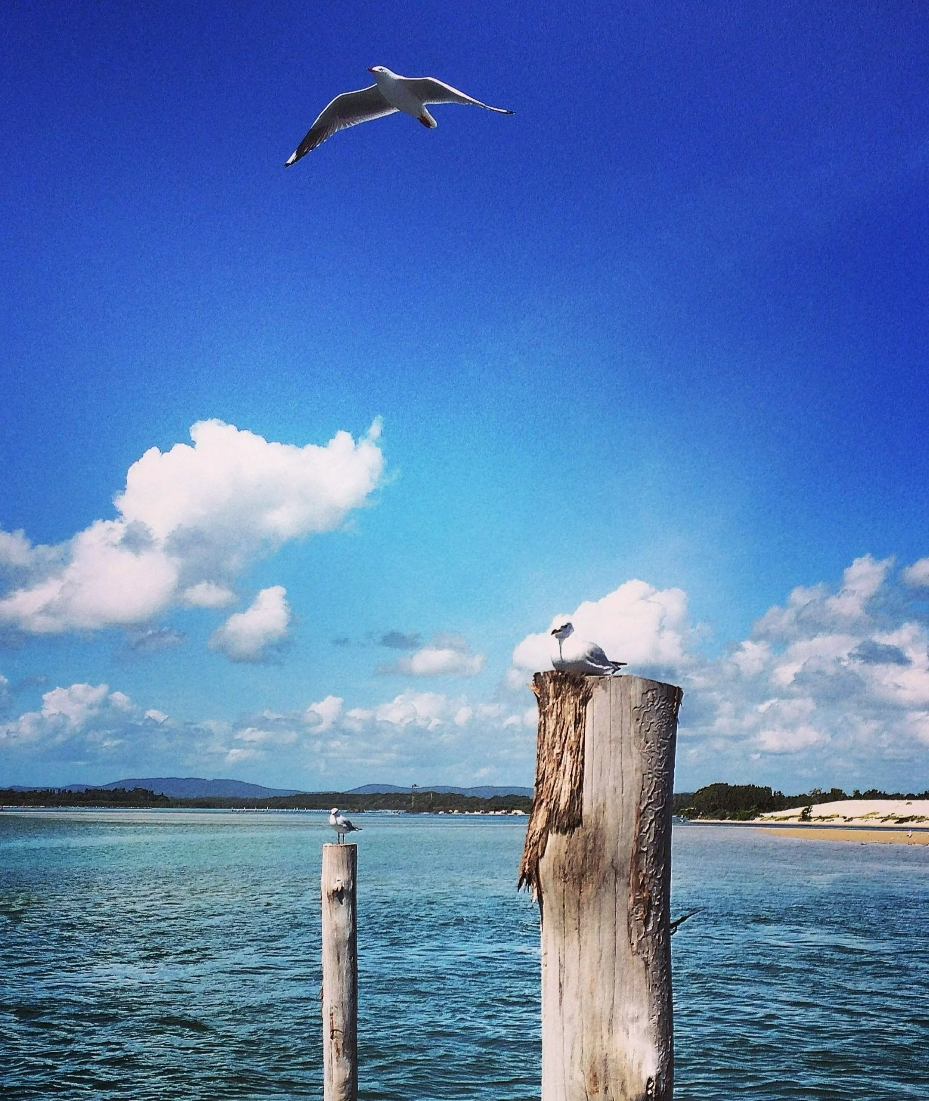 Learning Through Life Psychology