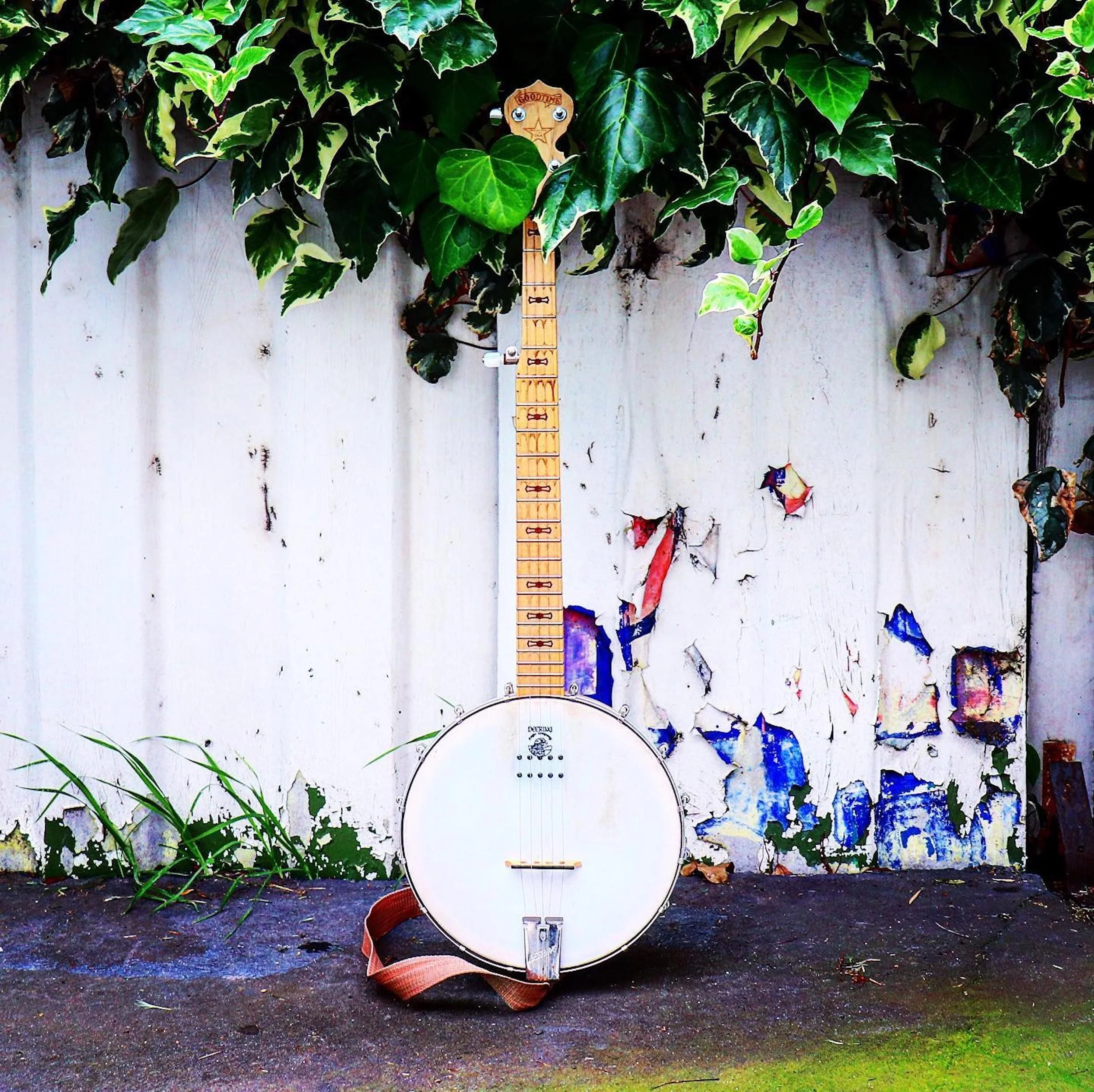 Banjo Lessons Adelaide | Learn Banjo for All Skill Levels — Bossi's ...