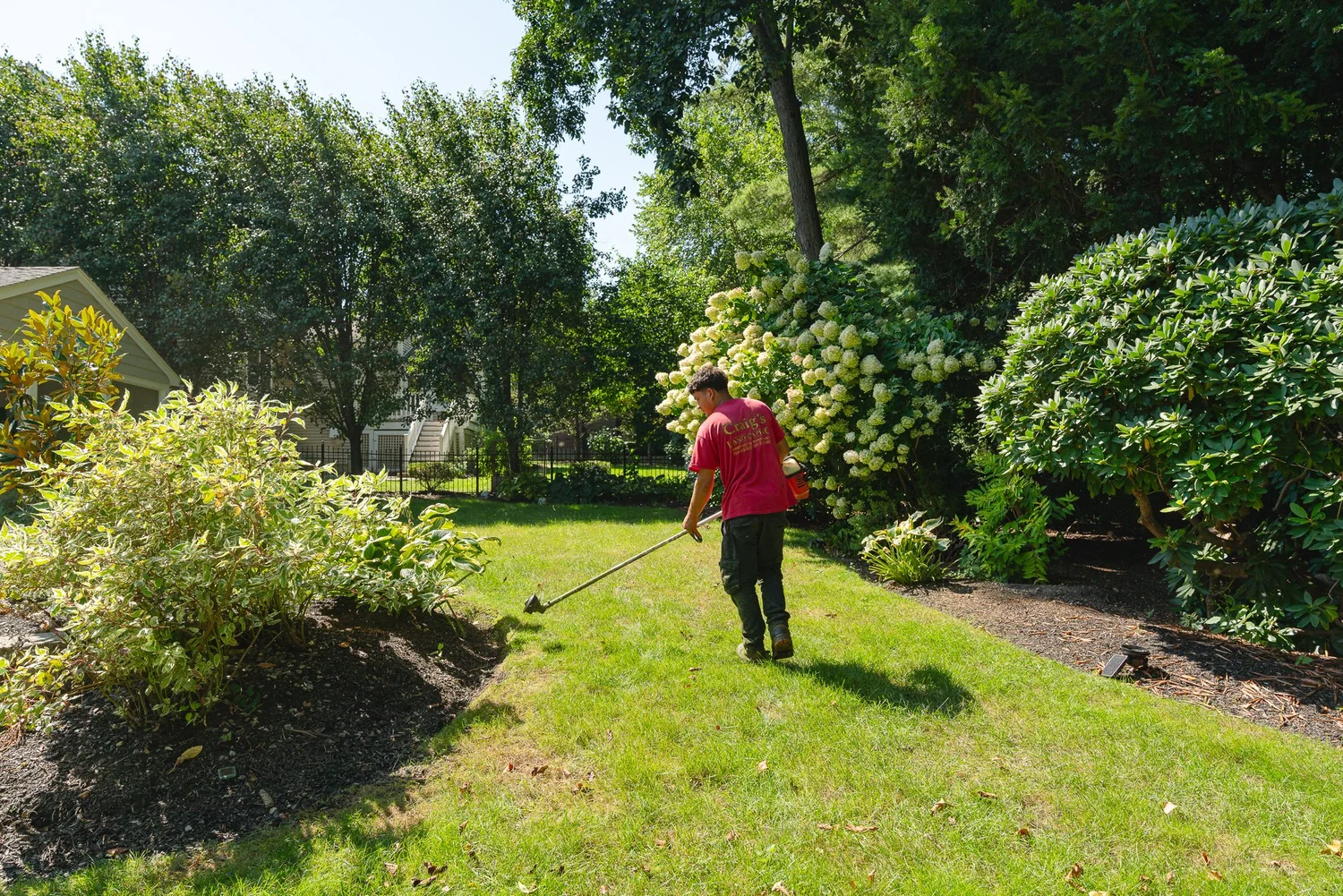 Craig's Landscaping | Transform Your Outdoors
