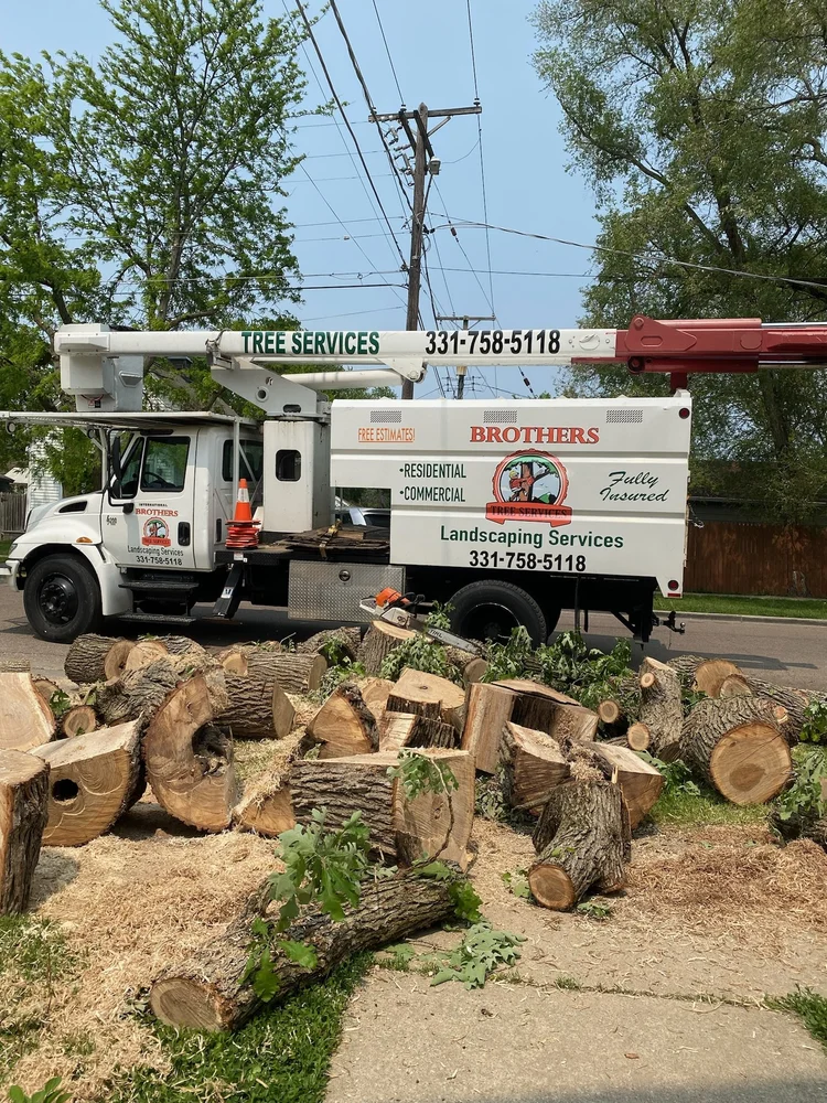 Brothers Tree Service