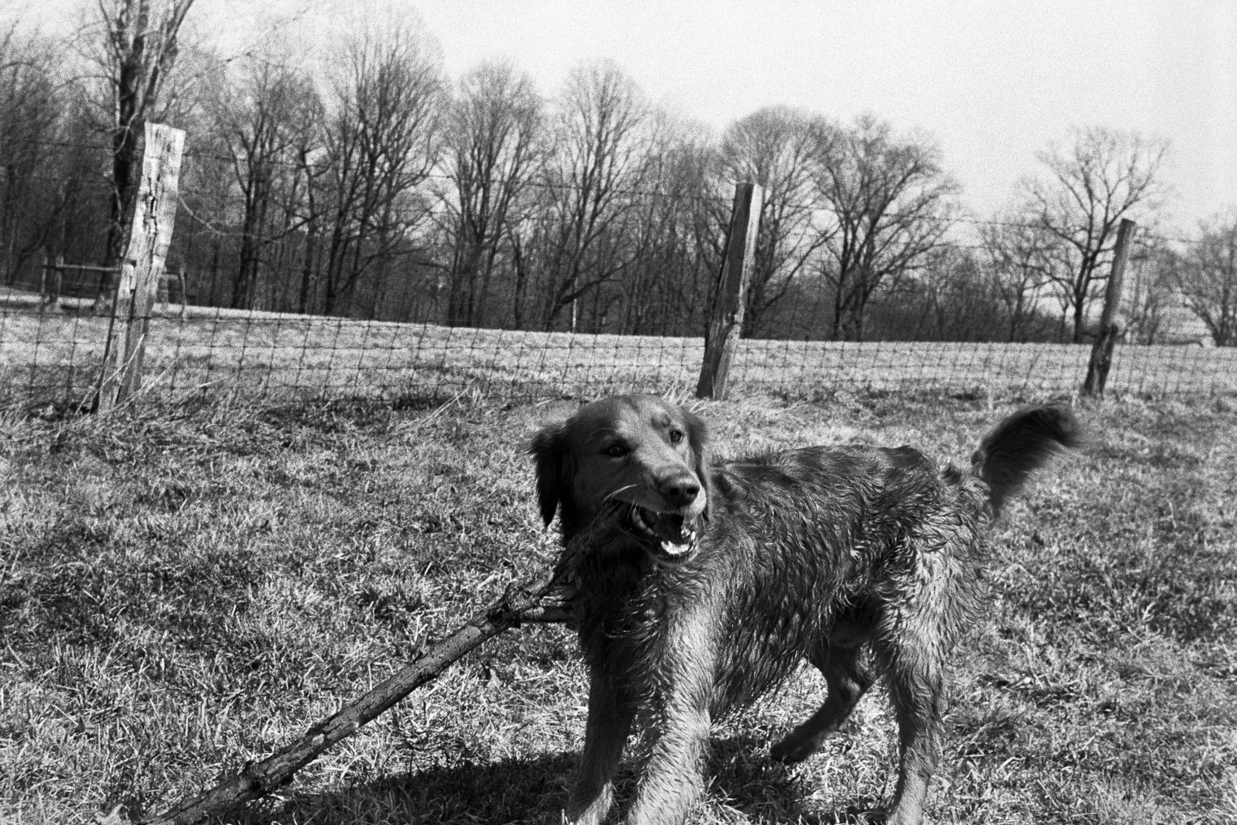 1968 — Geoffrey Biddle