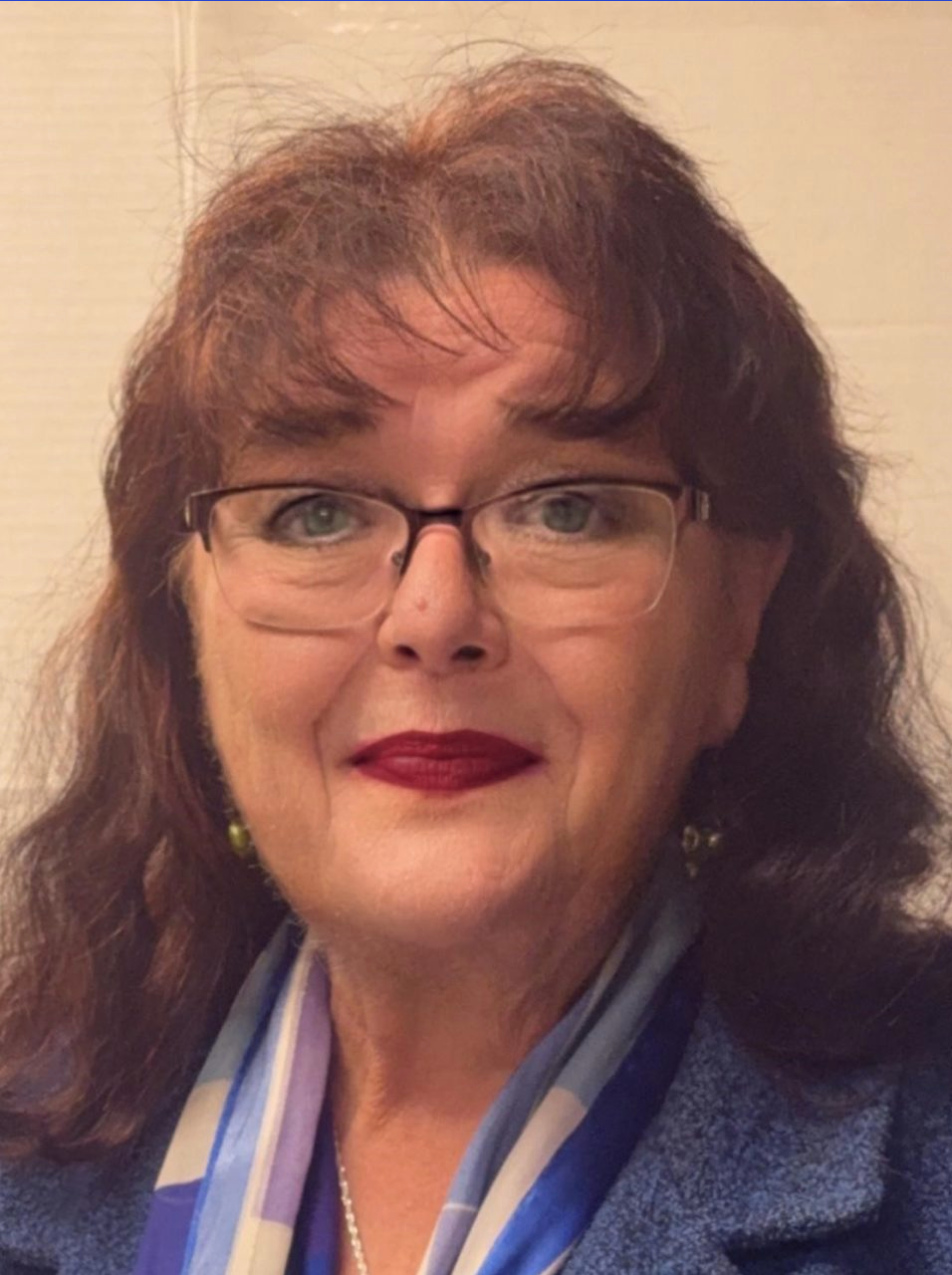 Candidate Survey: Sharon Nasset — Architectural Heritage Center