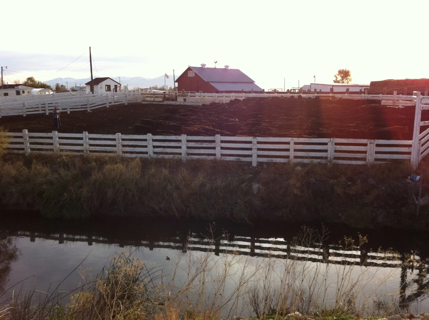 Our Story — Cross E Ranch