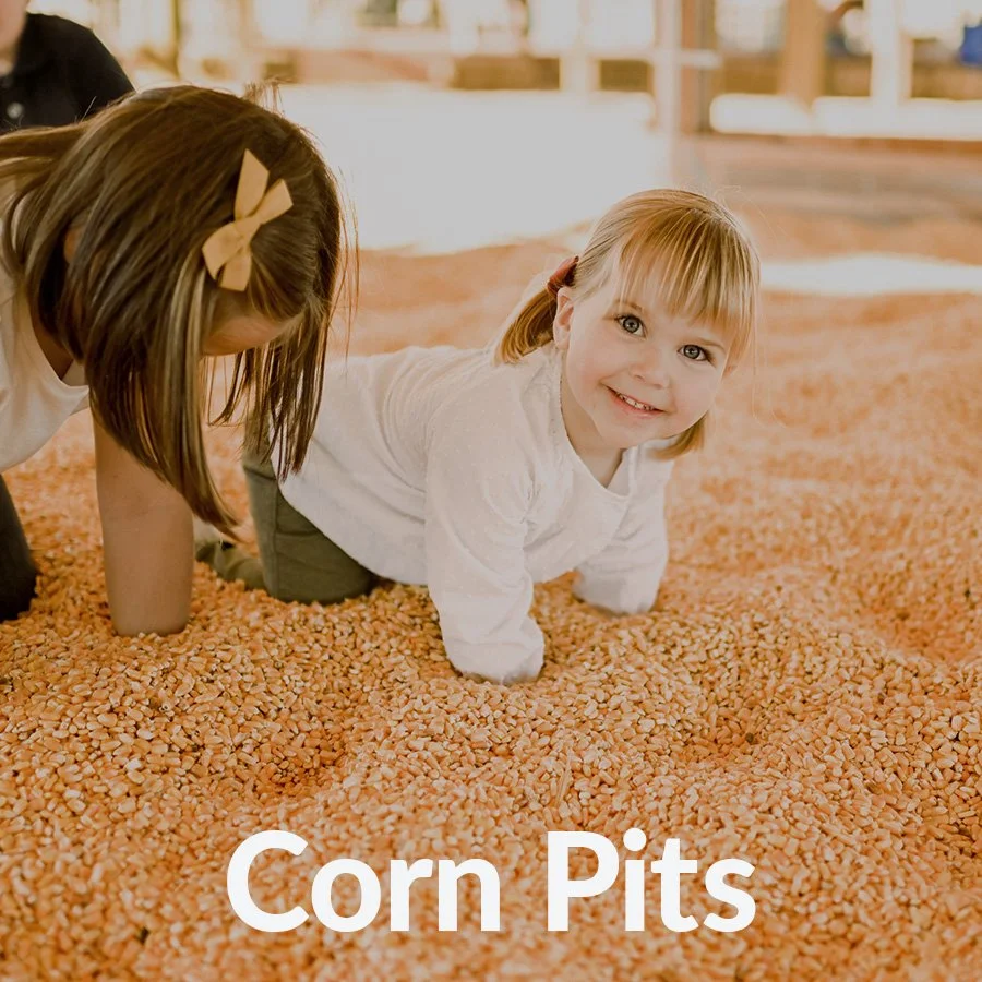 Fall Festival Attractions — Cross E Ranch