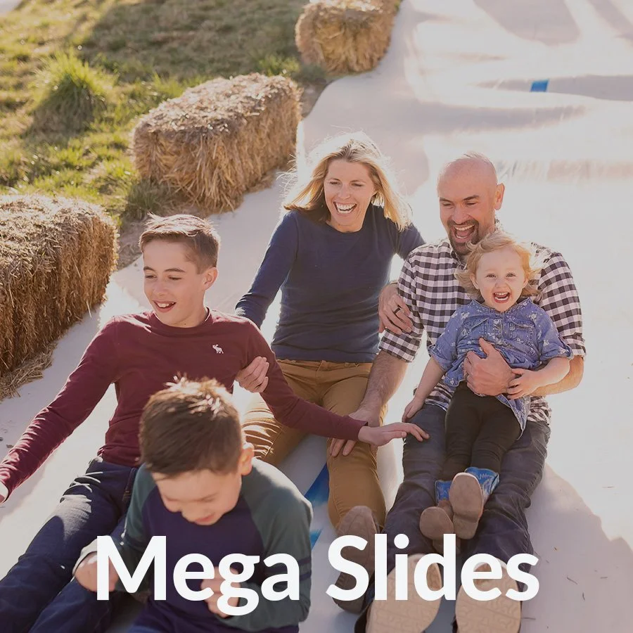 → Spring Festival Attractions — Cross E Ranch