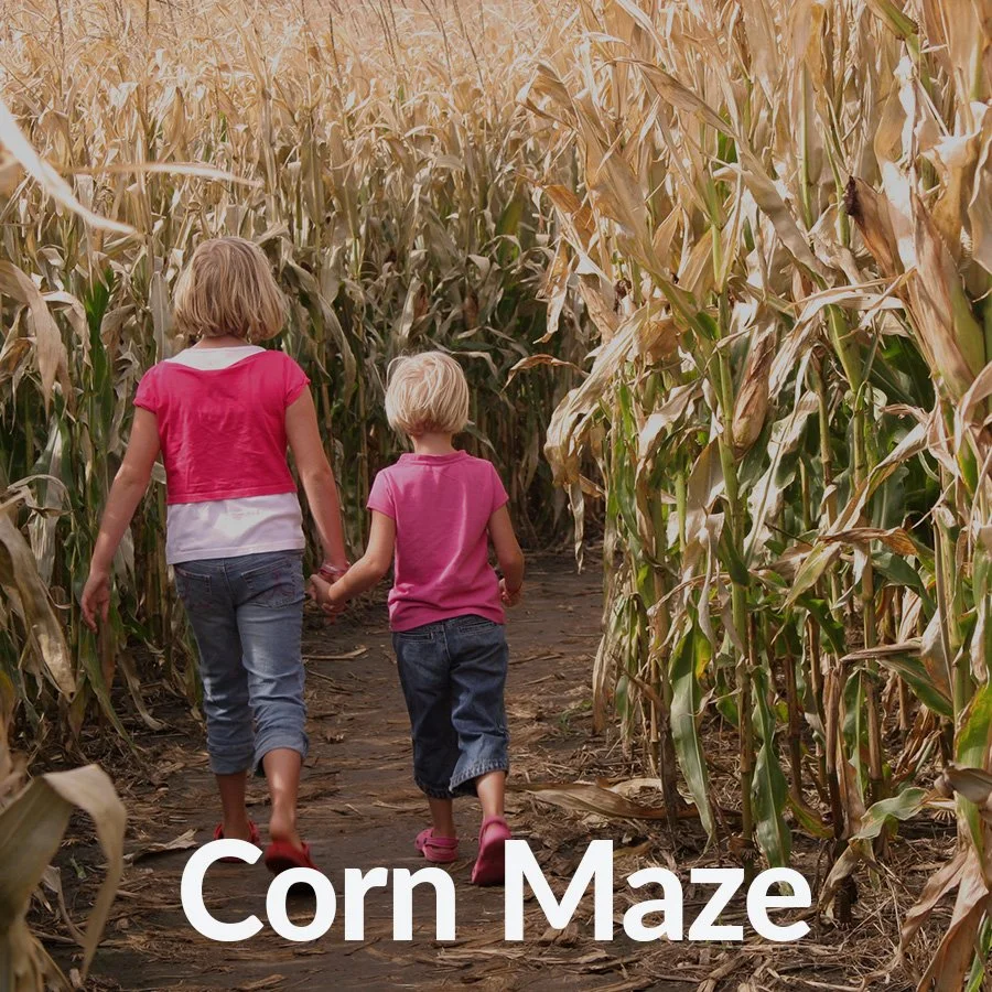 Fall Festival Attractions — Cross E Ranch