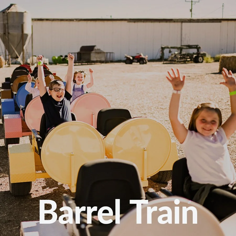 Fall Festival Attractions — Cross E Ranch