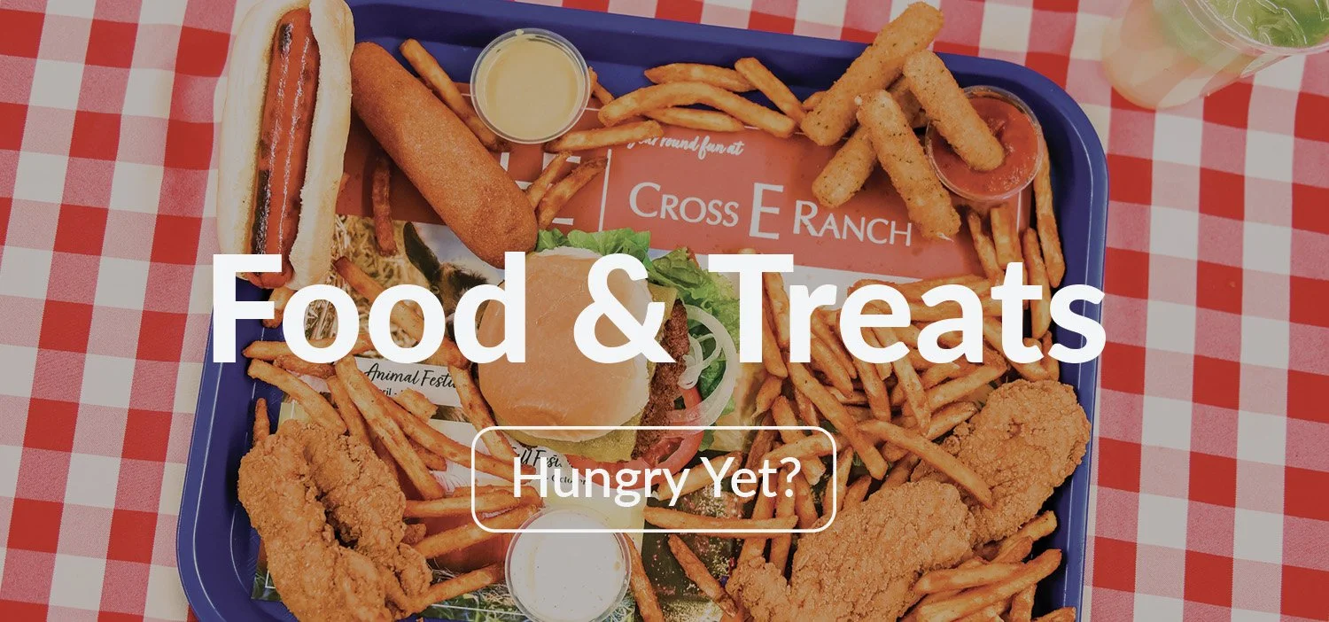 Fall Festival — Cross E Ranch