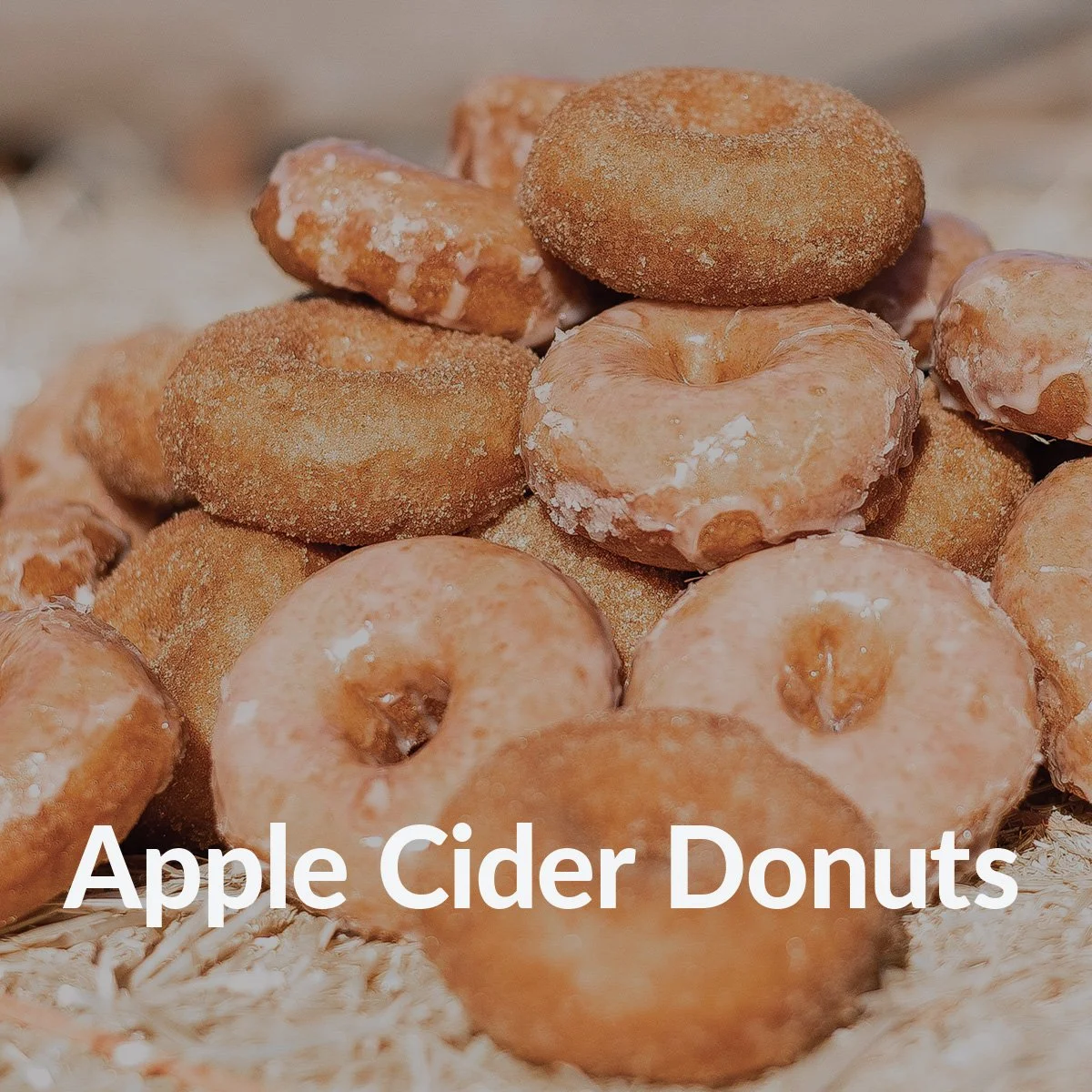 Donut Shop — Cross E Ranch