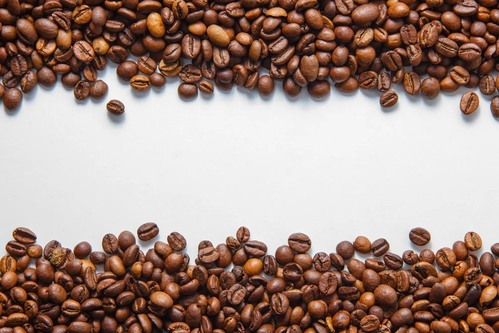 Jeffrey's Coffee Co