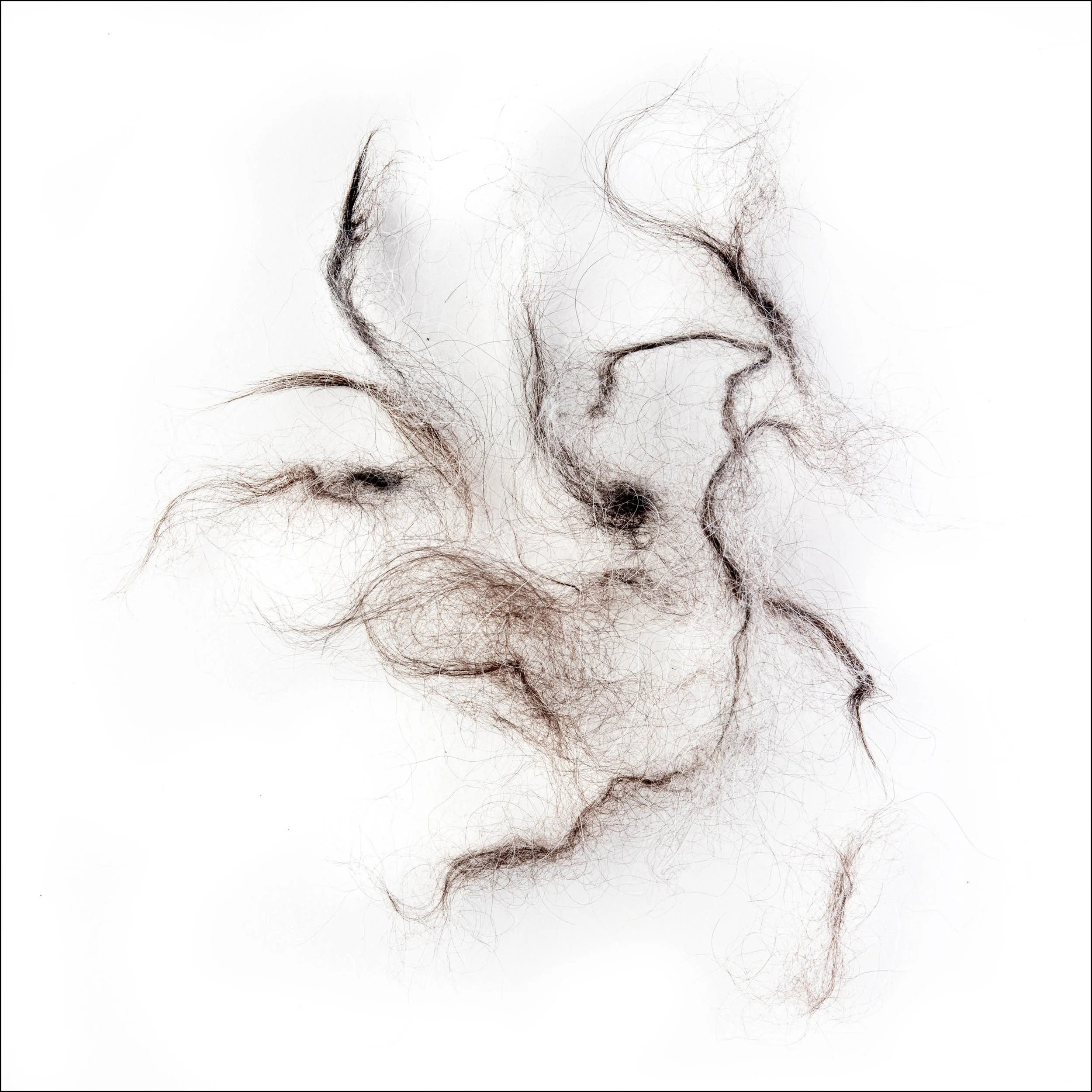 Tundra's Fur Series 6: Fur and Skeins — Chantal Gervais